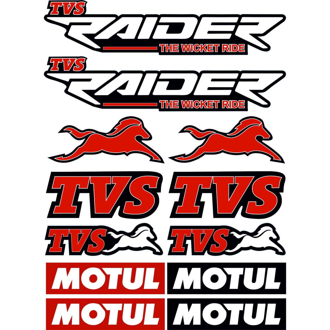 TVS RAİDER A4 STİCKER